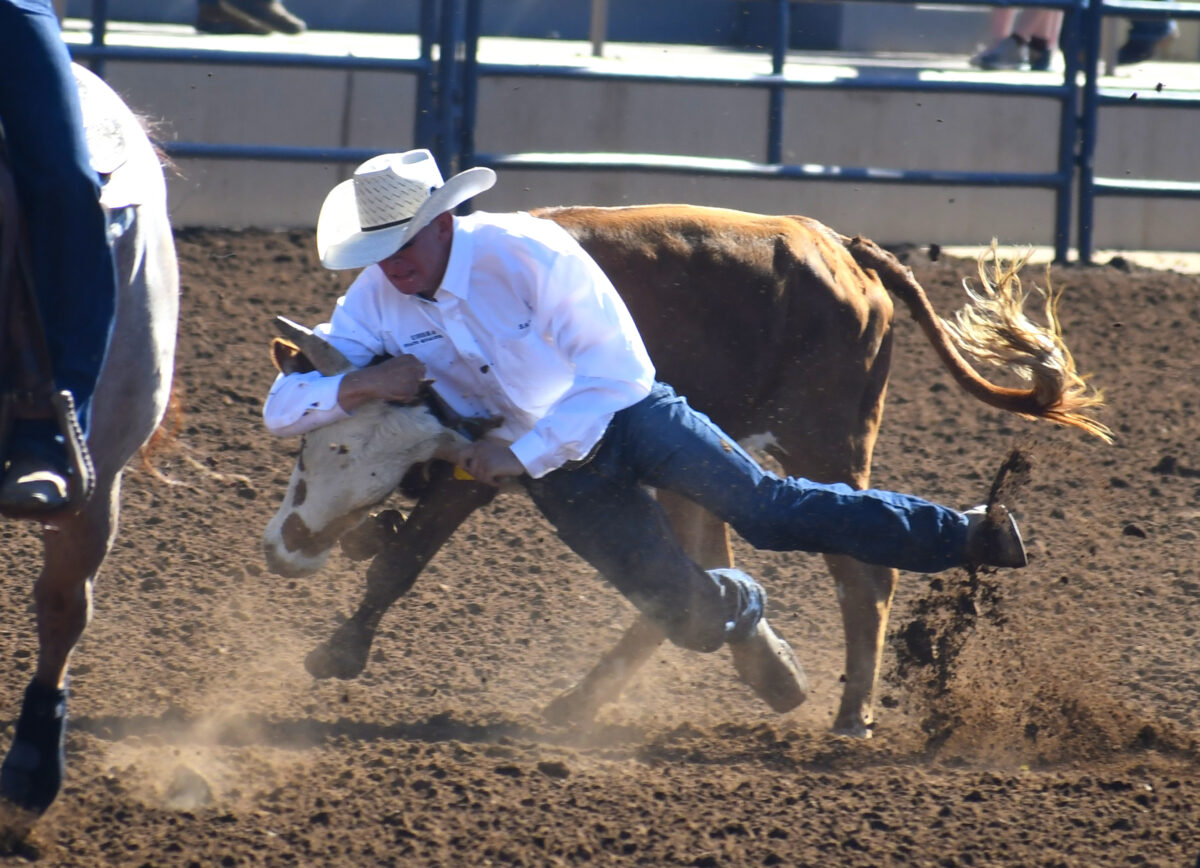 Goldy is golden: Spanish Fork’s Weston Milner racking up wins at state ...